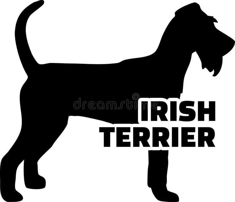 Irish Terrier Silhouette Real Word Stock Vector - Illustration of ...