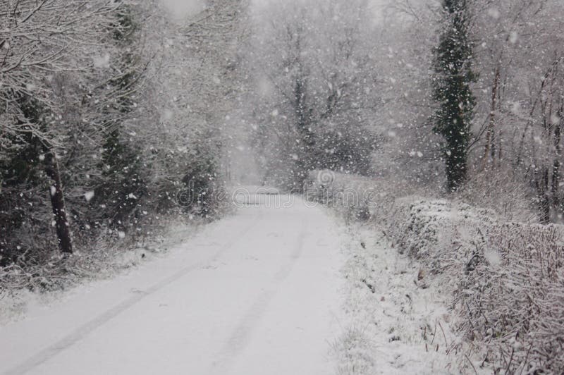 Irish Winter stock photo. Image of winter, irish, ireland - 4639554