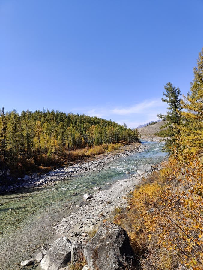 Irkut river. Siberia stock image. Image of valley, autumn - 260367297