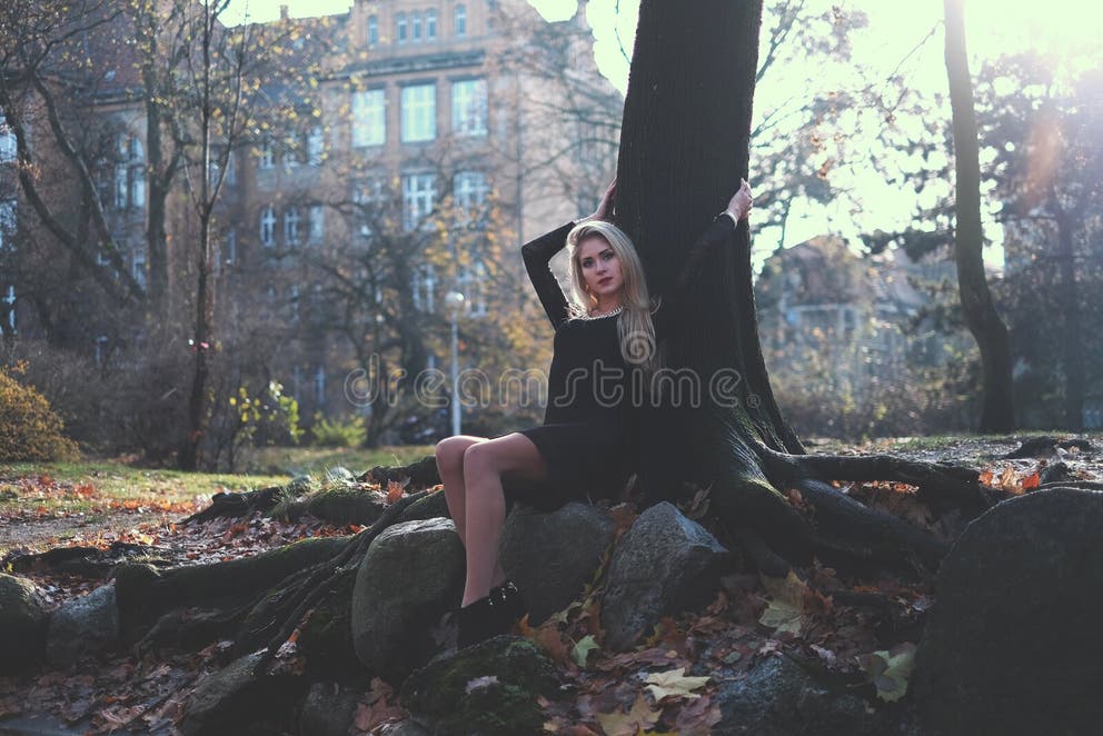 Irl and autumn tree stock photo. Image of study, adult - 81621564