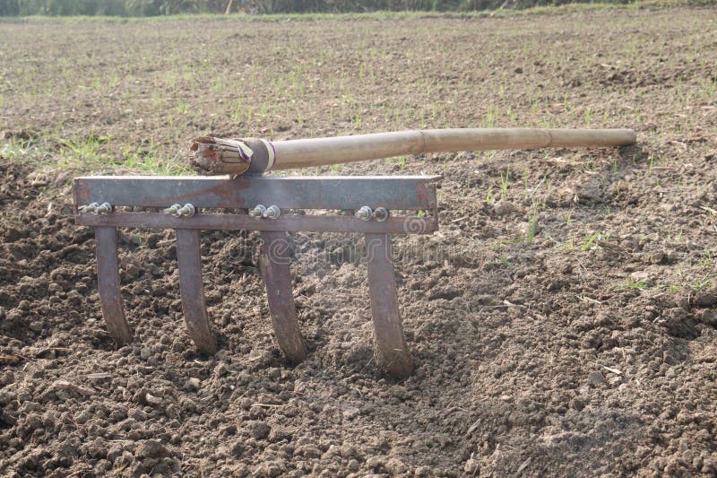 Iron Agriculture Cultivator on Field Stock Image - Image of cultivator ...
