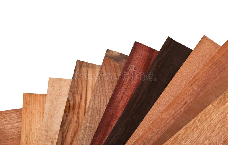 Man on iron anvil stock photo. Image of blacksmith, outdoor - 31519908