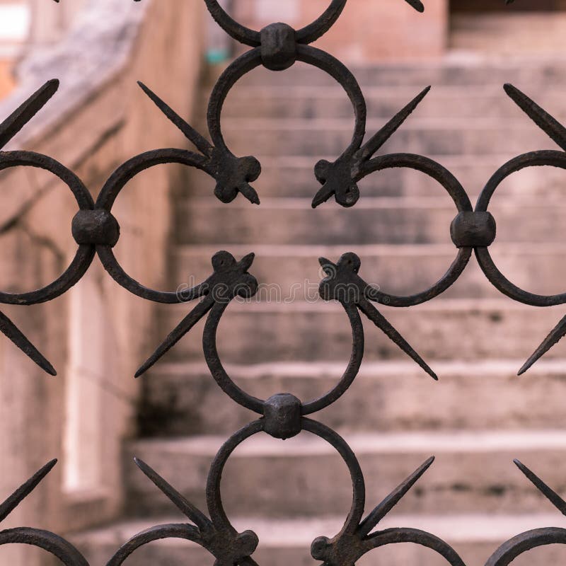 Iron artistic grid stock image. Image of nature, metal - 101773835