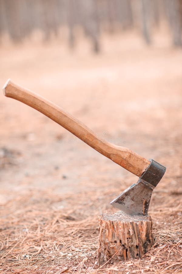 Iron Axe Thrust into the Stump in the Autumn Forest Stock Image - Image ...