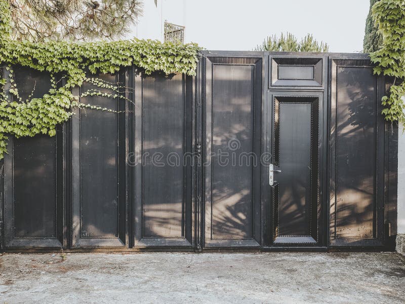 Iron Black Fence with a Gate with a Rectangular Pattern and Ivy on Them ...