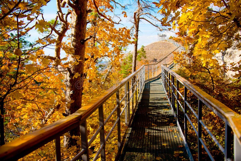 Iron Bridge Over Autumn Trees Stock Photo - Image of metal, railing ...