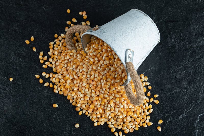 An Iron Bucket with Uncooked Corn Grains Stock Photo - Image of ...