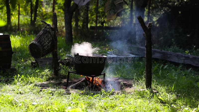 Iron Cast Cauldron Boiling a Stew Over Open Log Fire Stock Video ...