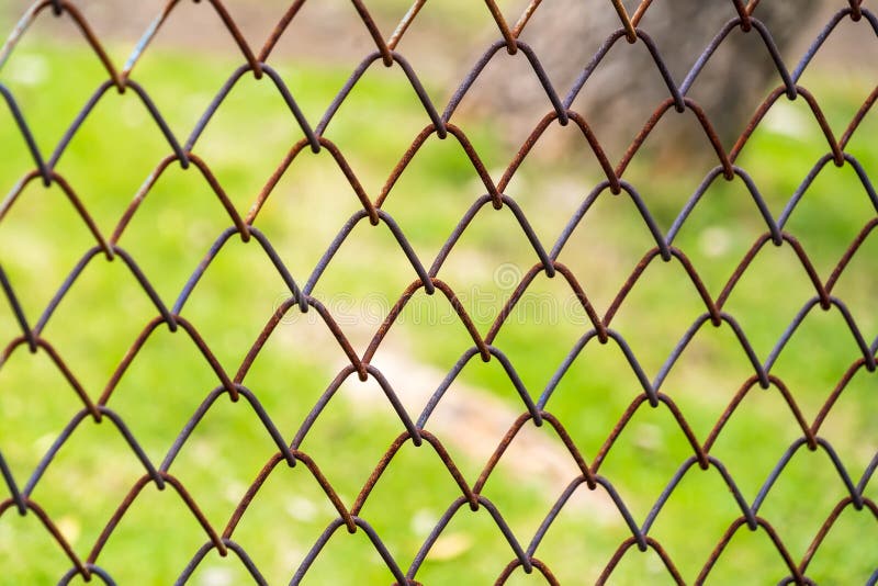 Iron Chain Link Fence Against Green Meadow Stock Image - Image of steel ...