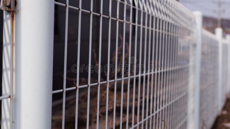 An white color iron fence stock photo. Image of iron - 368786552
