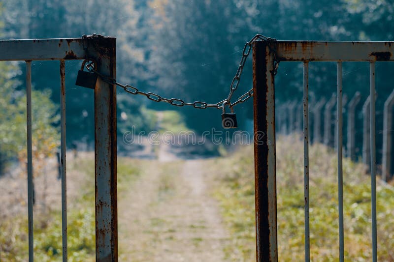 Iron Gates Chained in Forest Setting Stock Photo - Image of overgrown ...