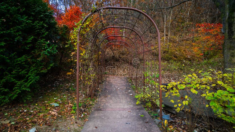 Rounded Corner Iron Gate and the Path To the Woods. 2021, Autumn, Fall ...