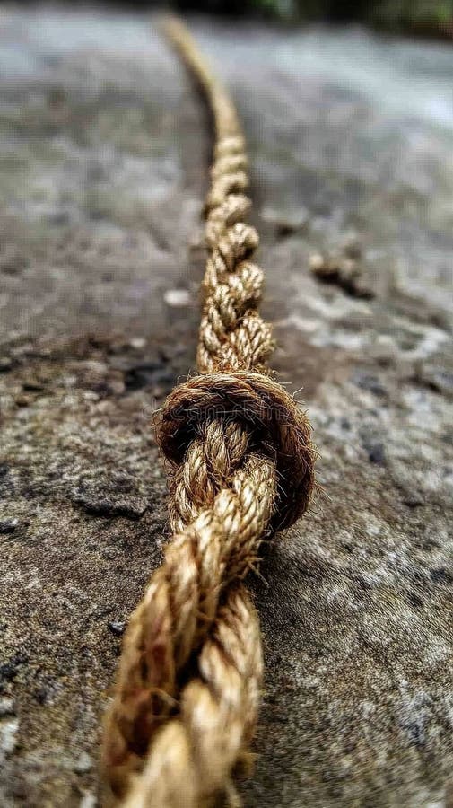 Iron Nail and Coarse Rope on a Rustic Surface Showcase Simple Textures ...
