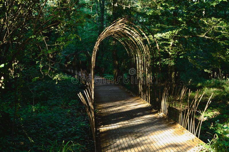 Iron Path through the Woods of the Park of Majolan, Blanquefort Stock ...