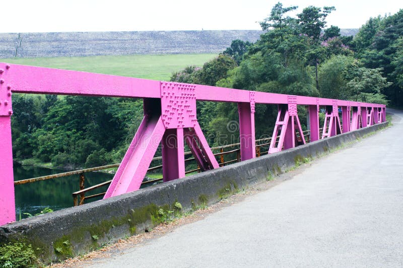 Iron Pink colour stock photo. Image of freeway, iron - 242472216