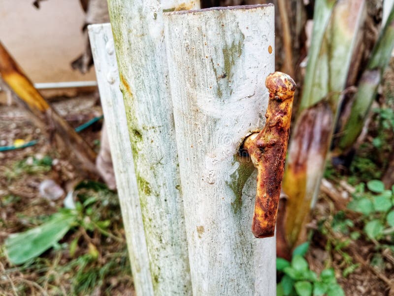 Iron pole lock stock photo. Image of lock, animal, leaf - 207700364