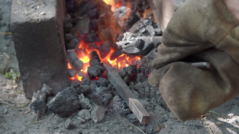 Iron Rod are Heating in Burning Coals before Forging Stock Video ...