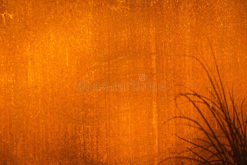 Iron Rusty Wall in Direct Sunlight with the Shadow of a Plant Stock ...