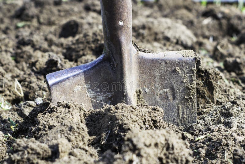 Iron Shovel Stuck in a Dug Up Earth Close-up Stock Image - Image of ...