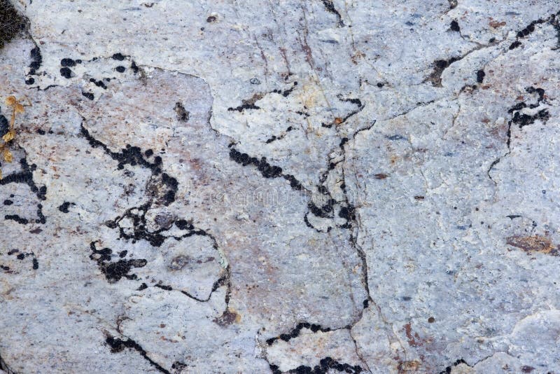 Iron stone natural texture stock photo. Image of rock - 142798150