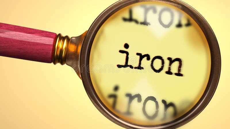 236 Inspect Under Magnifying Glass Thorough Analysis Inspection Stock ...