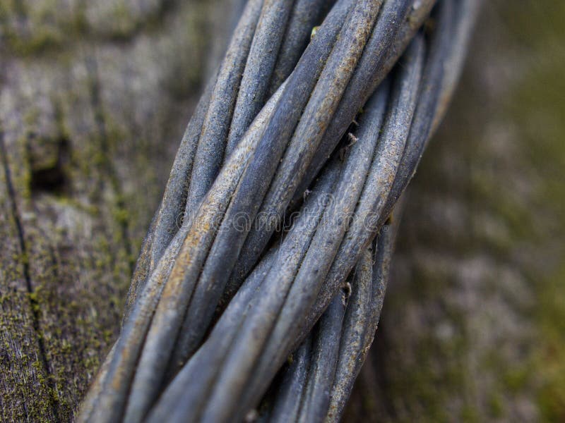Iron wire stock photo. Image of decoration, closeup - 362564484