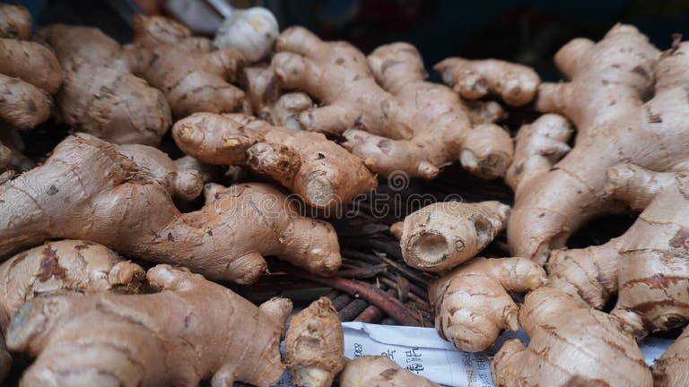 Irregular Ginger Roots Piled, Showing Bumpy Light Brown Texture Stock ...