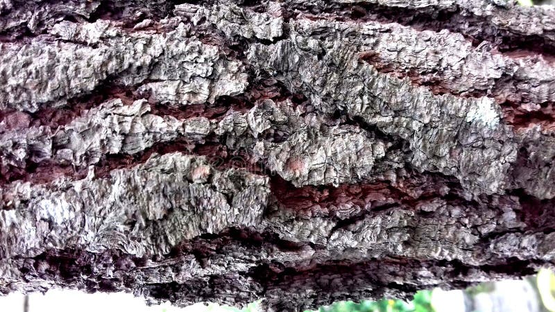 Irregular Relief, Sand and Cement Material Stock Image - Image of plant ...