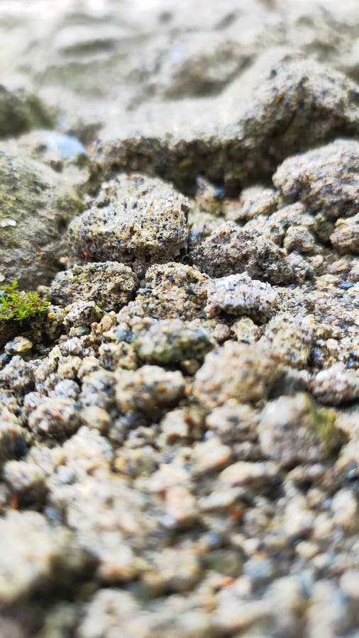 Irregular Rock Fragments on a Beach Stock Photo - Image of beach ...