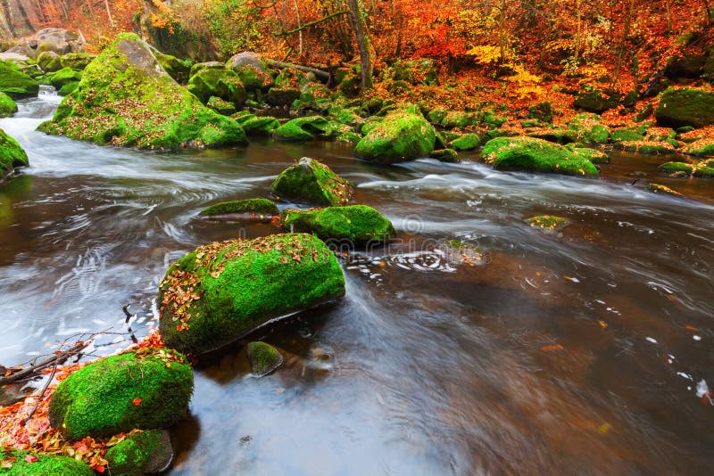 Irrel Cascades at River Pruem in Eifel, Germany Stock Image - Image of ...