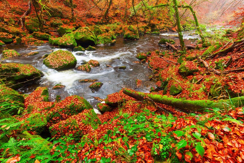 Irrel Cascades at River Pruem in Eifel, Germany Stock Image - Image of ...