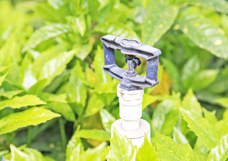 Irrigate equipment stock photo. Image of lawn, home, sprinkler - 41260058