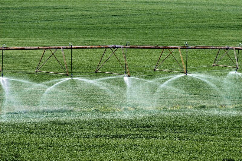 Irrigatie stock afbeelding. Image of water, gebied, kweker - 11934127