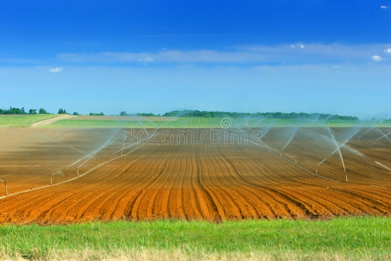 Irrigatie Van Landbouwgrond Stock Afbeelding - Image of landbouw, slang ...