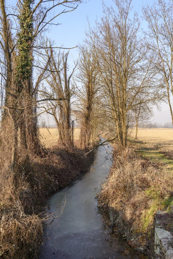 Kleine Sloot in De Winterland Stock Foto - Image of sloot, landbouw ...