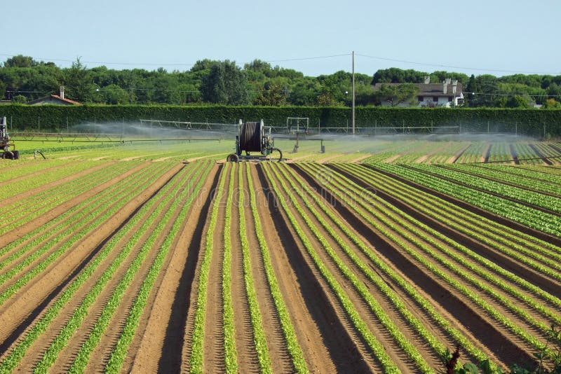Irrigating stock image. Image of water, country, italia - 2823507