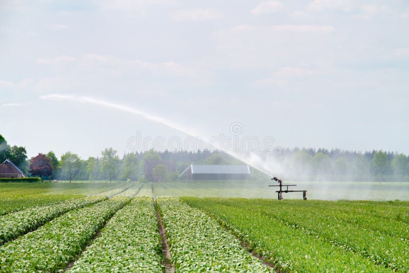 Irrigating an Agricultural Field Stock Image - Image of equipment ...