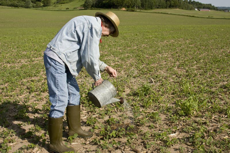 Irrigating crops stock image. Image of hydrate, water - 20139829