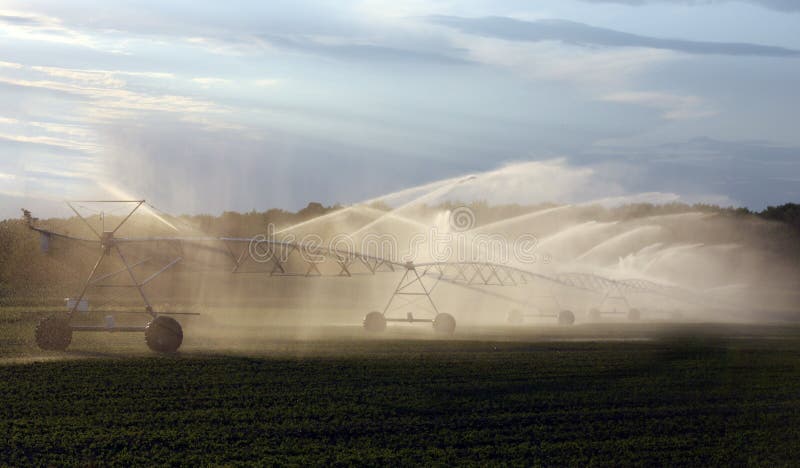 Irrigating farm crops stock image. Image of moisture, mist - 6190149