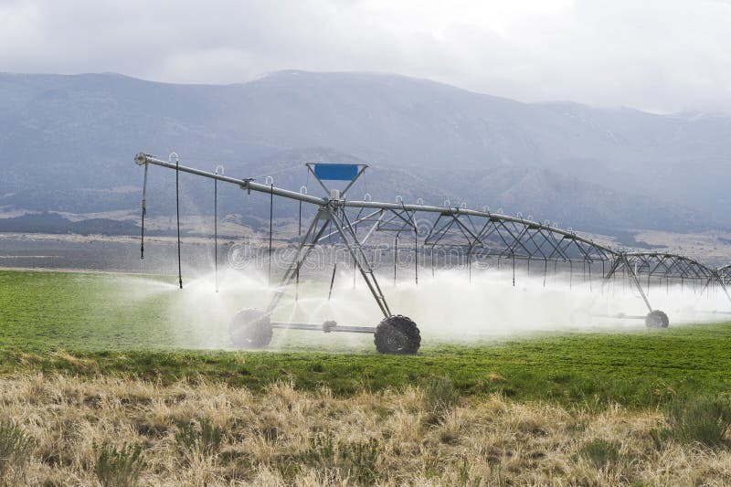 Irrigating Farmland. stock photo. Image of spray, water - 24543770