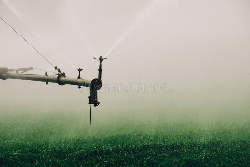 Irrigating fields stock image. Image of agricultural - 70796599