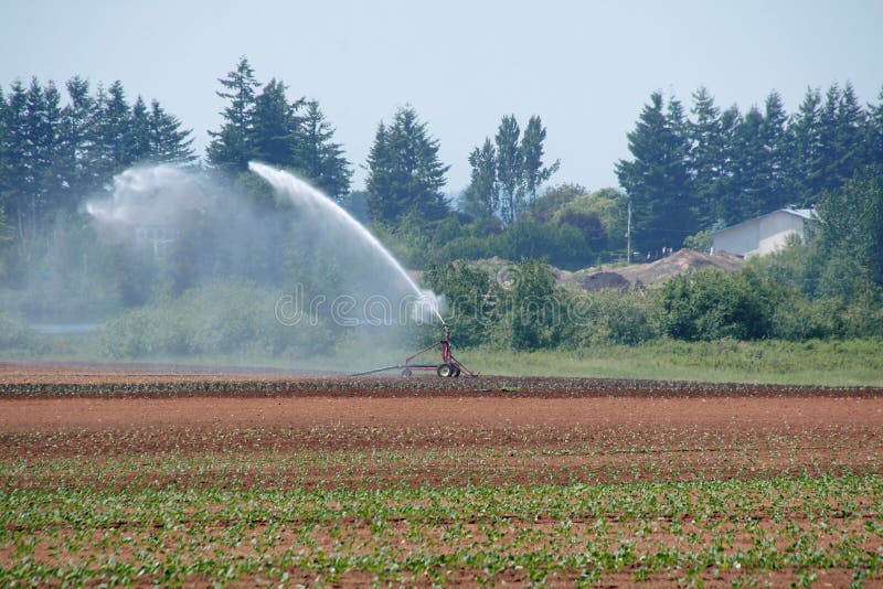 Irrigating the Parched Land Stock Photo - Image of acre, landscape ...