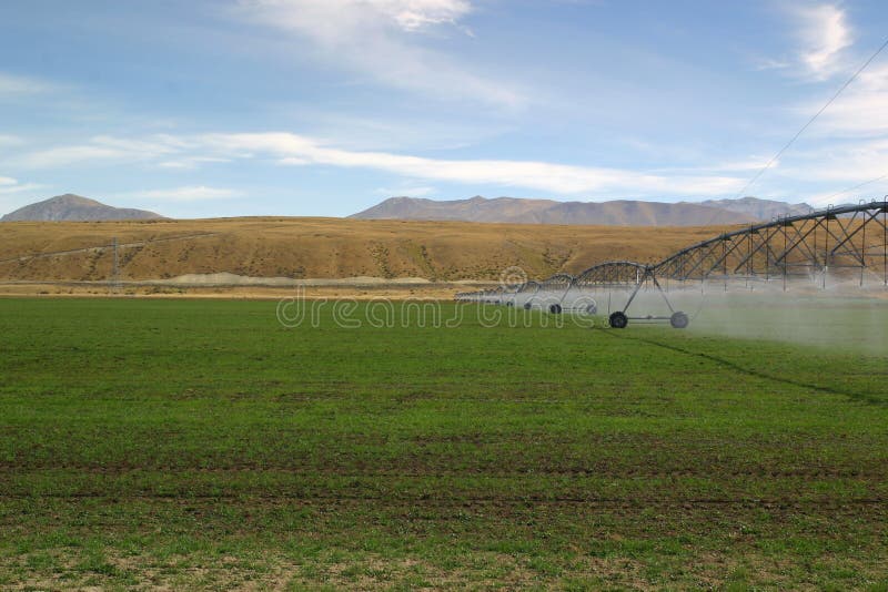 Irrigating crops in field stock photo. Image of lush, plants - 5173076