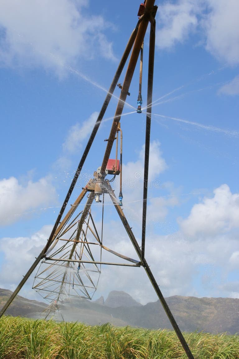 158 Overhead Sprinkler Irrigation Stock Photos - Free & Royalty-Free ...