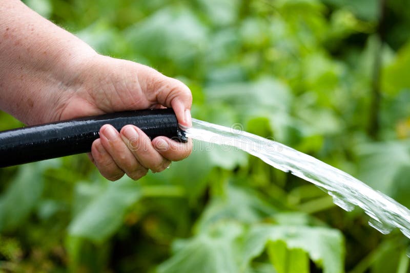 Irrigation stock photo. Image of grass, garden, irrigate - 3596396