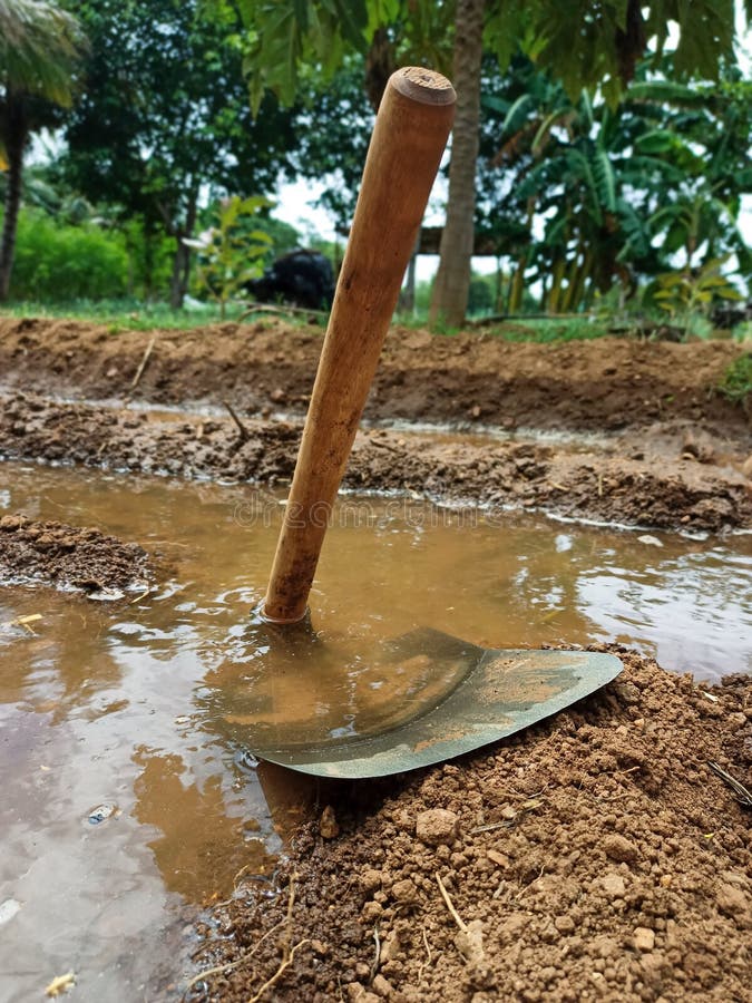 Irrigation on the Agriculture Feild by Using Tools Stock Image - Image ...