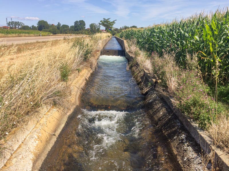 Irrigation Canal Along the Corn Plantation. Stock Photo - Image of ...