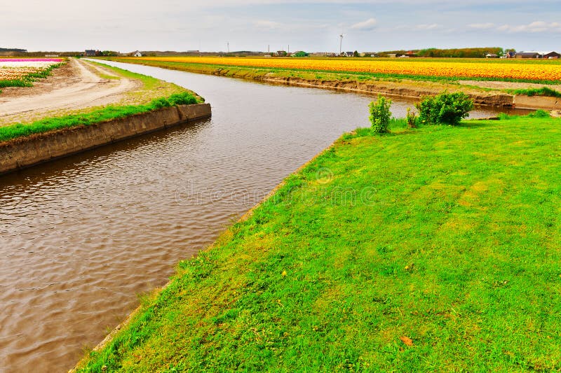 Country Road between Two Ditches Stock Photo - Image of grass, autumn ...