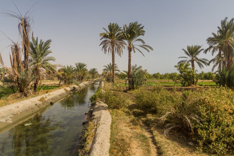 Irrigation Canal by the River Nile, Egy Stock Image - Image of canal ...
