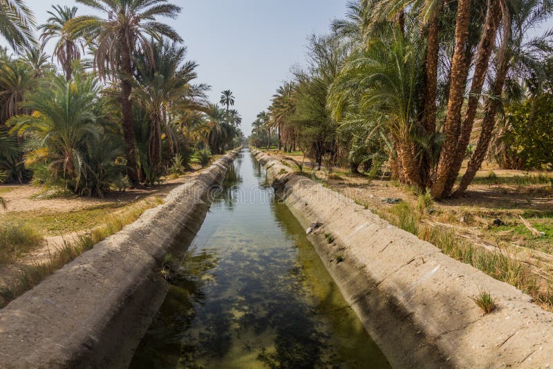 Irrigation Canal by the River Nile, Egy Stock Image - Image of field ...